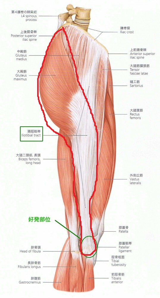 【お尻専門パーソナルトレーニングジム】大阪 天満•天六 Training Studio Ripple