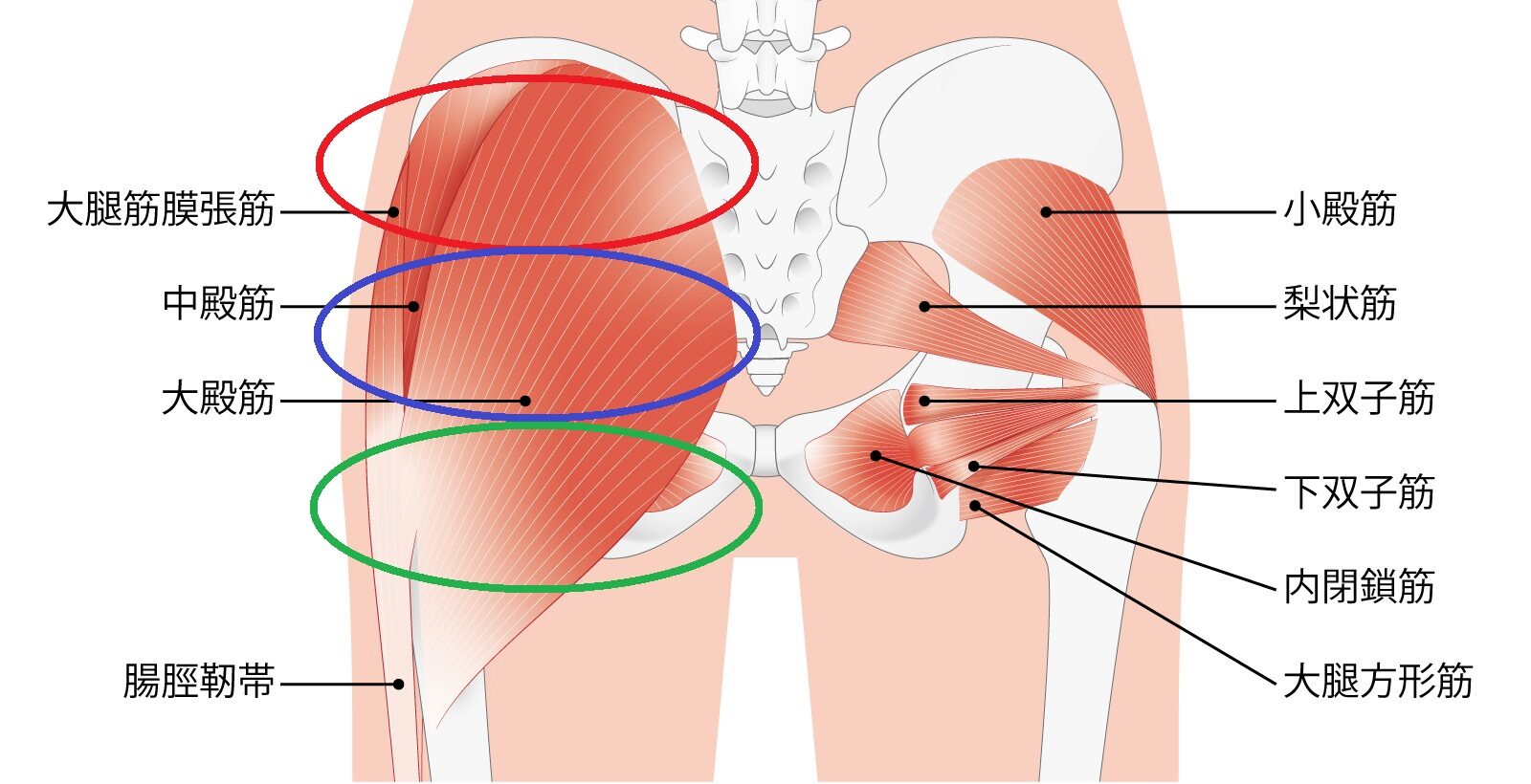 【お尻専門パーソナルトレーニングジム】大阪 天満•天六 Training Studio Ripple